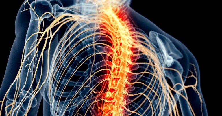 Immune system response key to spinal injury recovery | News | NRC ...